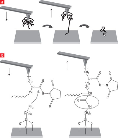 Single molecule manipulations performed | NextBigFuture.com