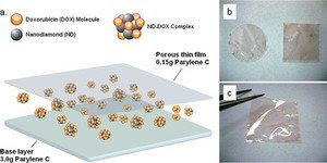 Nanodiamond drug delivery system could revolutionize cancer treatment ...