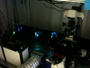 Biologist Develop New Microscope So Powerful It Will See Individual ...