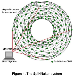 Biologically-Inspired Massively-Parallel Architectures – computing ...