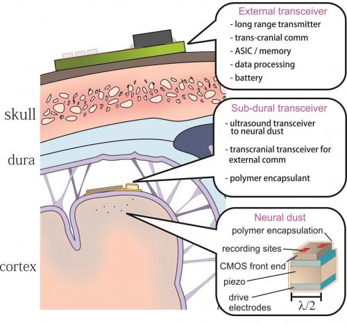 Neural dust could make a long duration, low power brain machine ...
