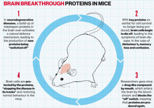 UK researchers discover how to halt death of brain cells, a turning ...