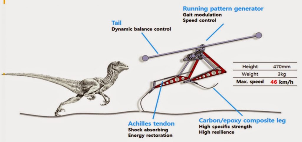 Raptor robot runs at 28.58 mph, faster than any human but a bit slow ...