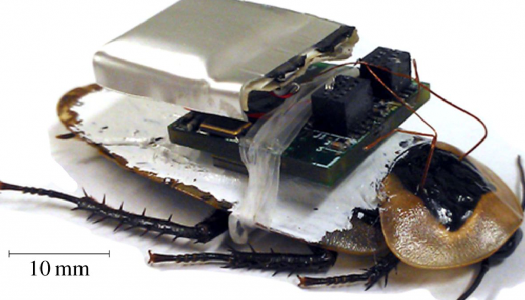 Locomotion control of hybrid cockroach robots | NextBigFuture.com
