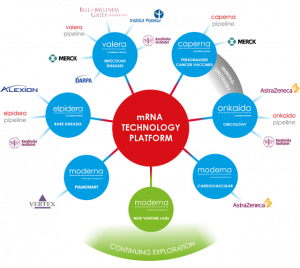 Moderna Has Positive Phase 1 Vaccine Results and Hopes for July Phase 3 ...
