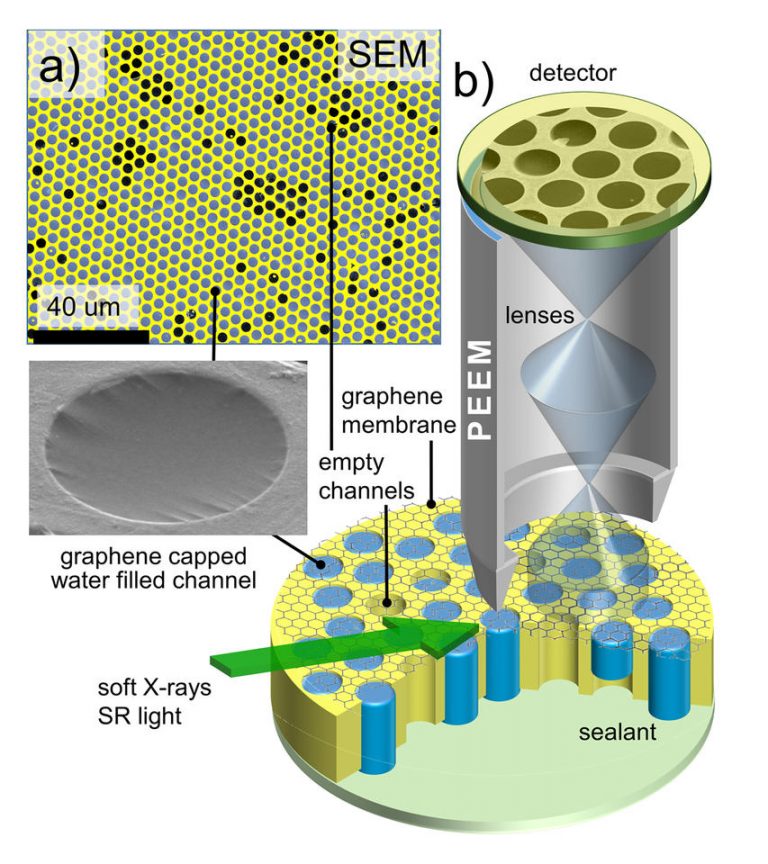 Graphene Lid Revitalizes Photoemission electron microscopy Imaging ...