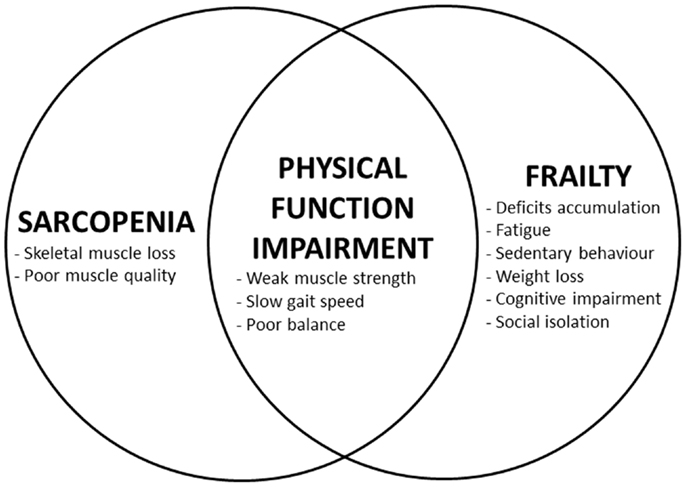 Common strength ‘genes’ identified for first time | NextBigFuture.com