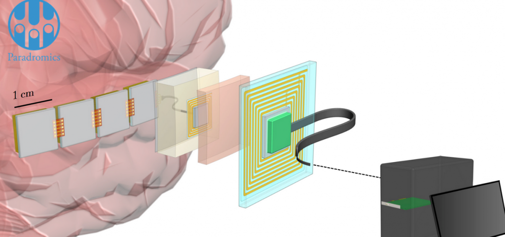 One million neurons Brain-Computer Interface connection targets 2021 ...