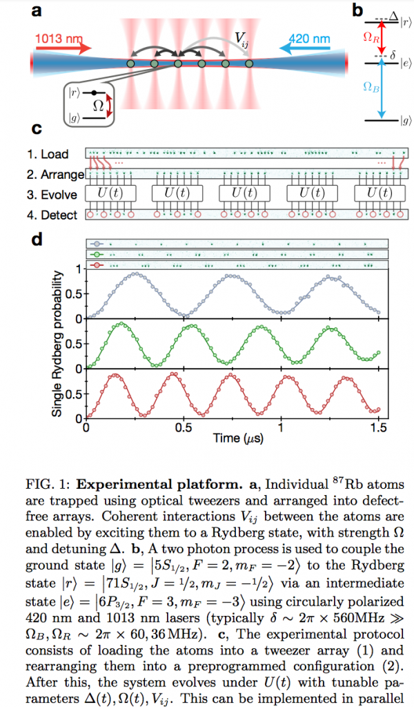 Existing 51 qubit quantum simulator using rubidium atoms could scale to ...