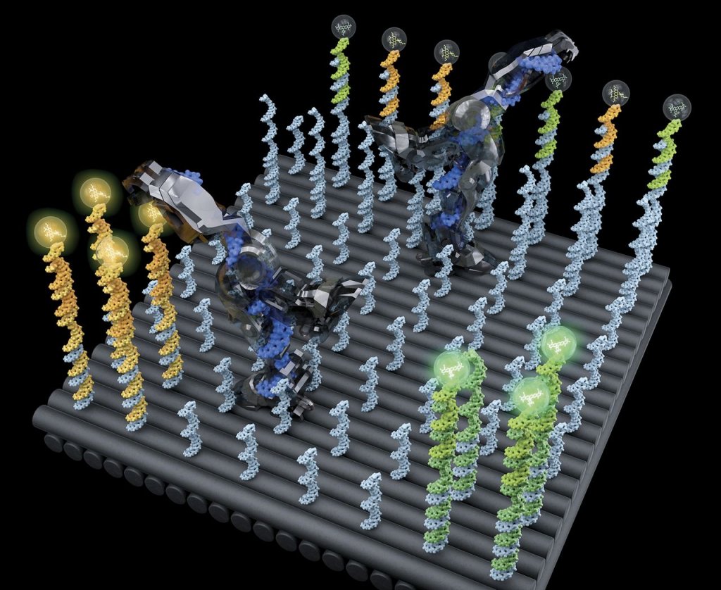 DNA nanobot created that performs nanomechanical tasks | NextBigFuture.com