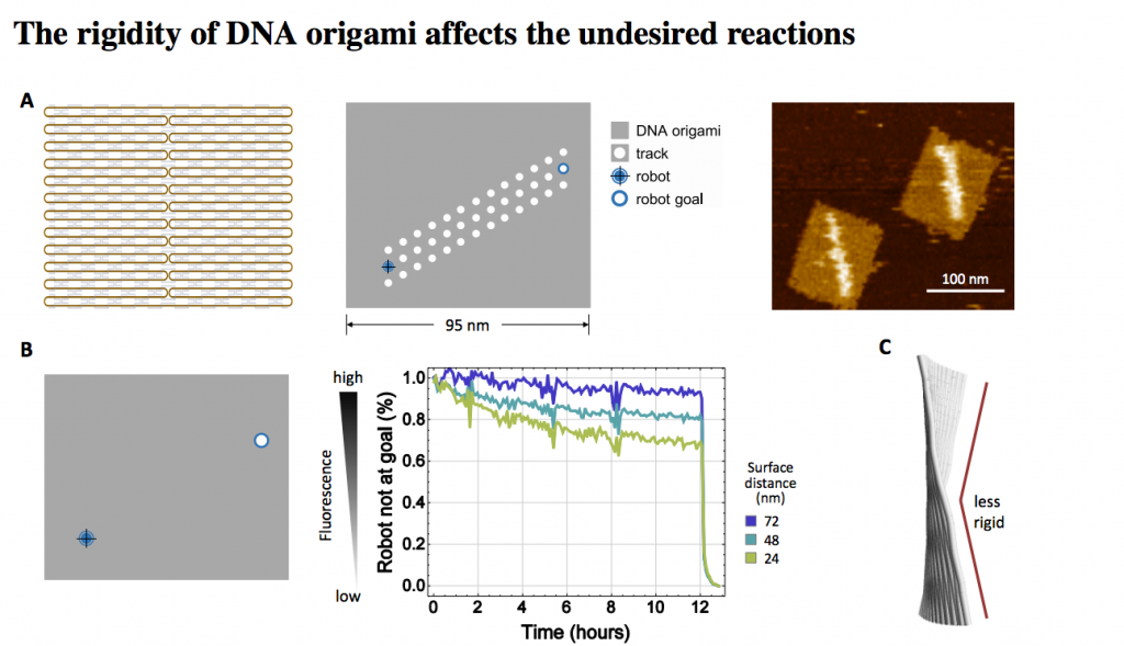DNA nanobot created that performs nanomechanical tasks | NextBigFuture.com
