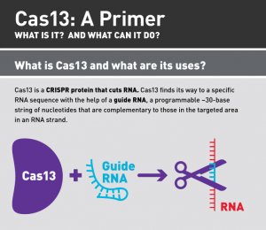 RNA editing with CRISPR-Cas13 | NextBigFuture.com