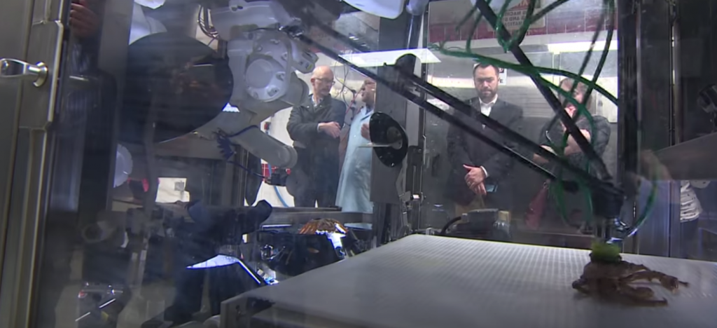 Robotic Crab meat extraction to bring more revenue back to Canada ...