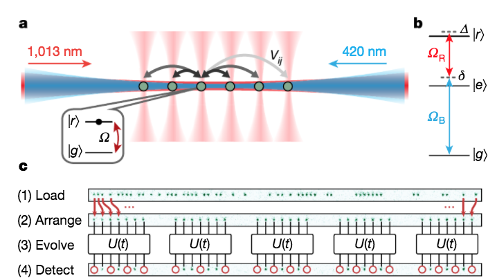 Largest quantum simulations using 53 qubit trapped ions and another with 51 Ryberg atoms ...