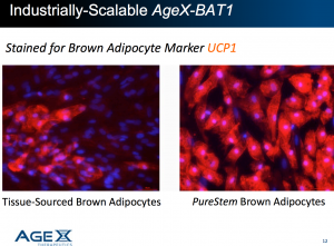 AgeX to develop powerful regenerative and anti-aging treatments ...
