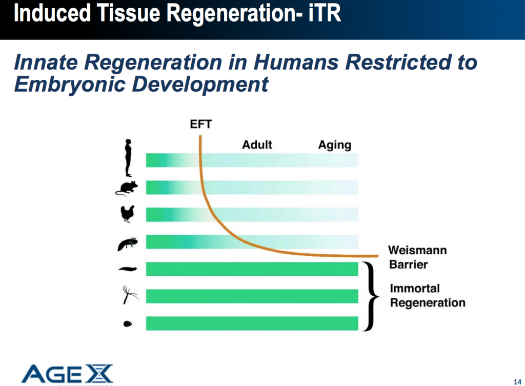 AgeX to develop powerful regenerative and anti-aging treatments ...