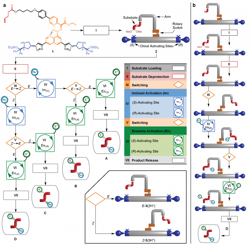 Progress To Scalable Molecular Machines