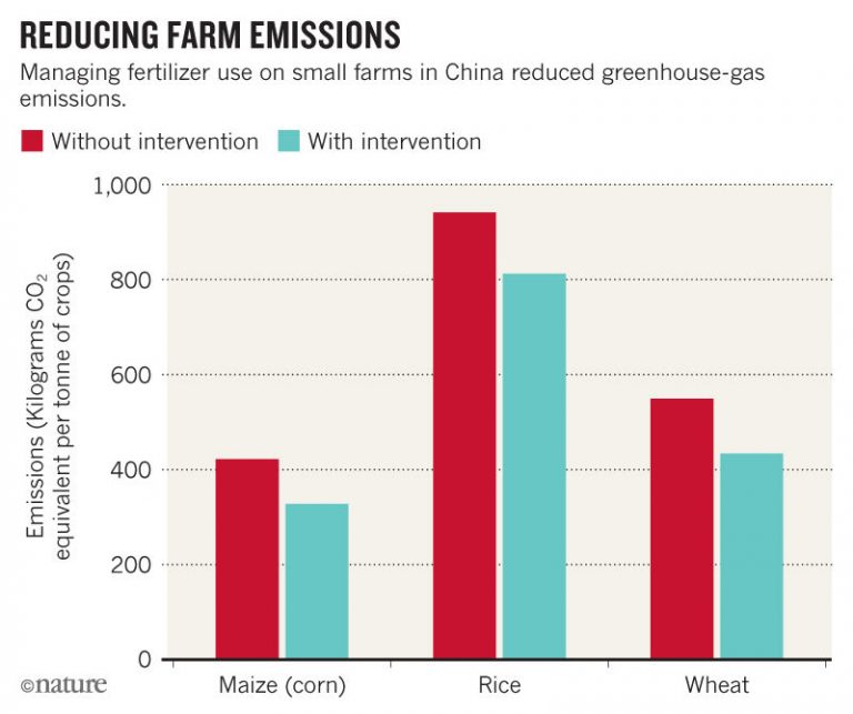 Massive study provided localized advice to boost crop yield and reduce ...