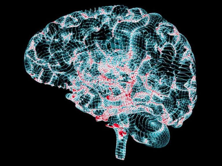 Desktop GPUs Simulate 24 Billion Synapse Mammal Brain Cortex ...