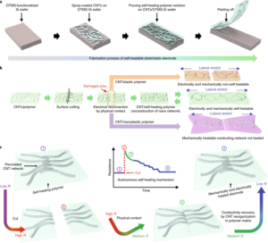 SU Global Exponential Medicine - self-healable electronic skin ...