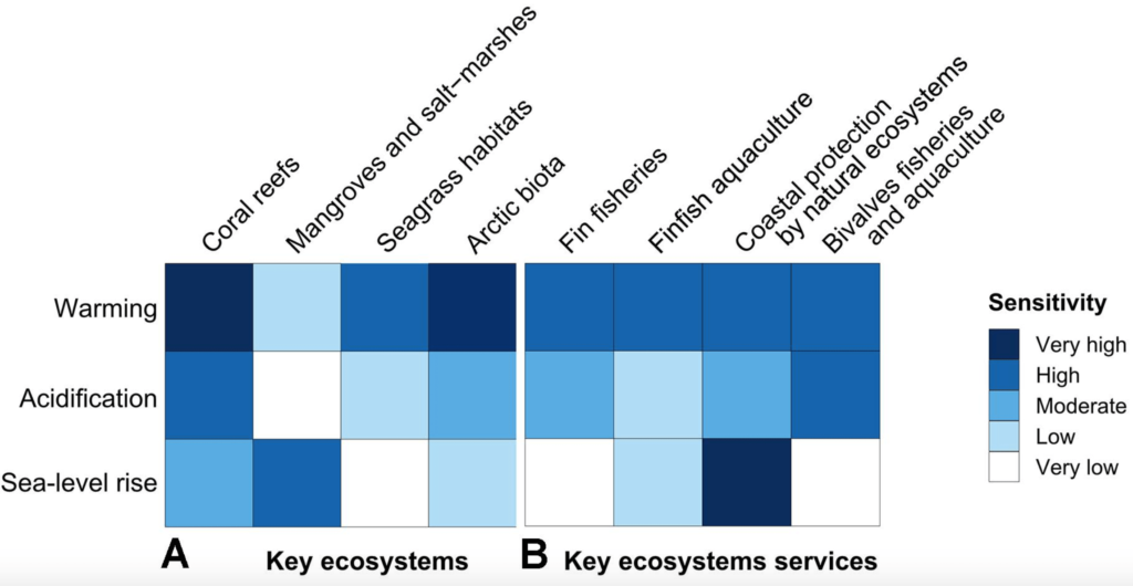 Ocean Solutions are key to solving Climate Change | NextBigFuture.com