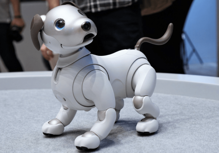 Pets vs Pet bots vs Smart Speakers | NextBigFuture.com