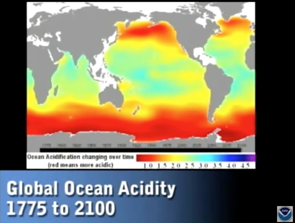 Ocean Acidity is 30% Higher and On Track to 150% Higher by 2100 ...