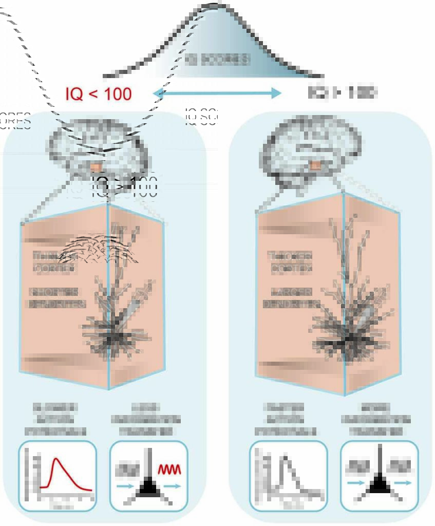 Future of Gene Sequencing, Genome Editing and Intelligence Enhancement ...