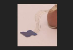 Neuralink and Elon Musk Have 10,000 Electrode-Thread Brain Computer ...