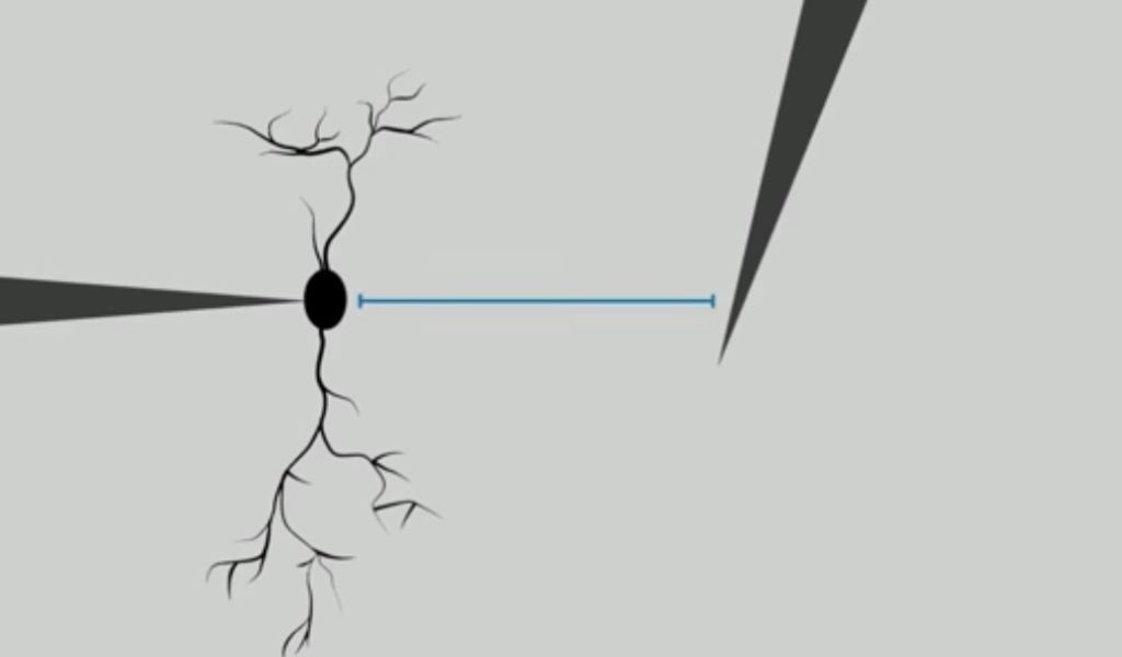 Neuralink and Elon Musk Have 10,000 Electrode-Thread Brain Computer ...