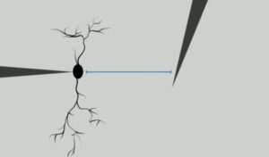 Neuralink and Elon Musk Have 10,000 Electrode-Thread Brain Computer ...