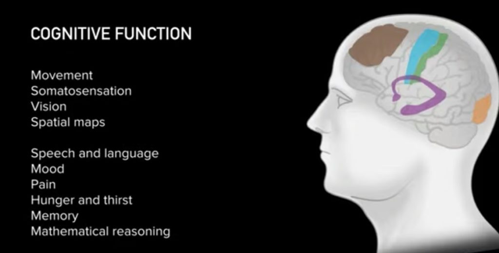 Neuralink Multi-thousand Channel Brain Interface Implantation Surgery ...