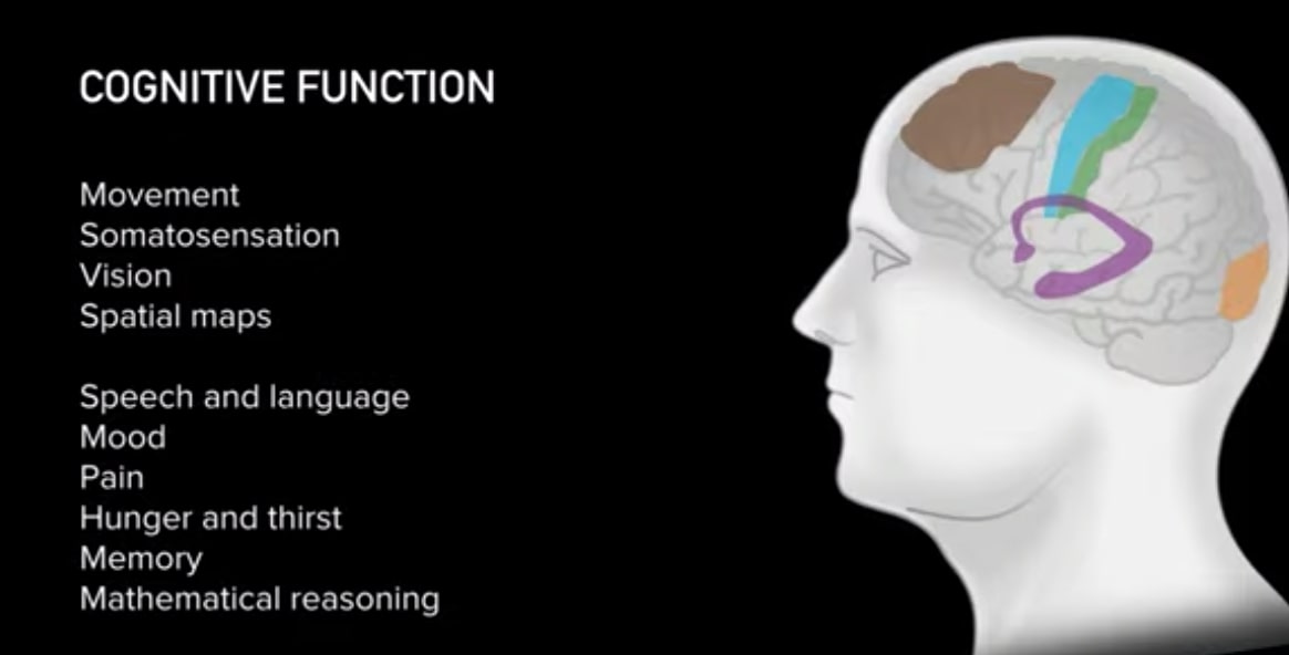 Neuralink Multi-thousand Channel Brain Interface Implantation Surgery ...