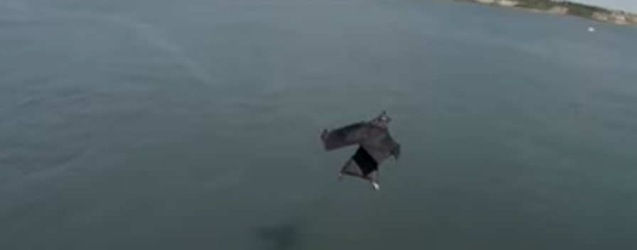 Gravity Flying Suit Added Wings For Longer Range Flight | NextBigFuture.com