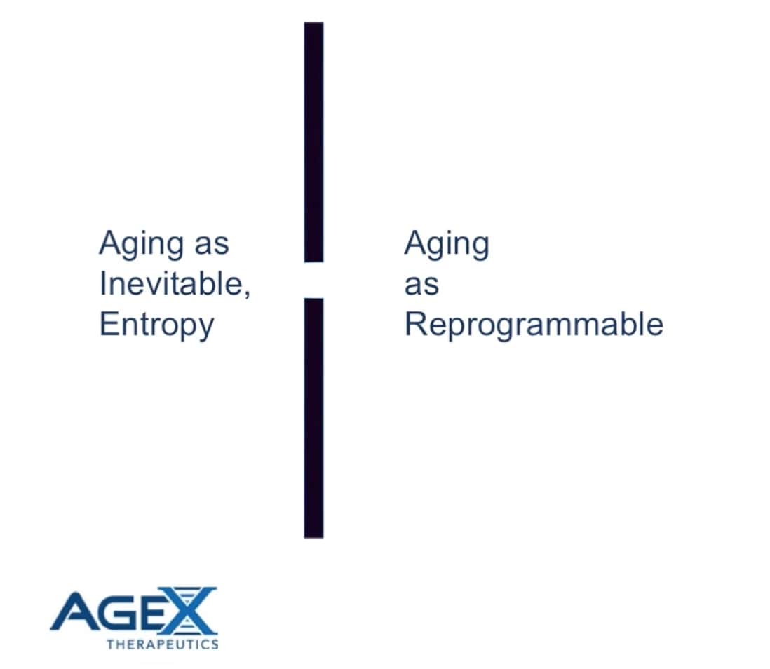 AgeX Developing Antiaging by Working to Restore Full Regeneration ...