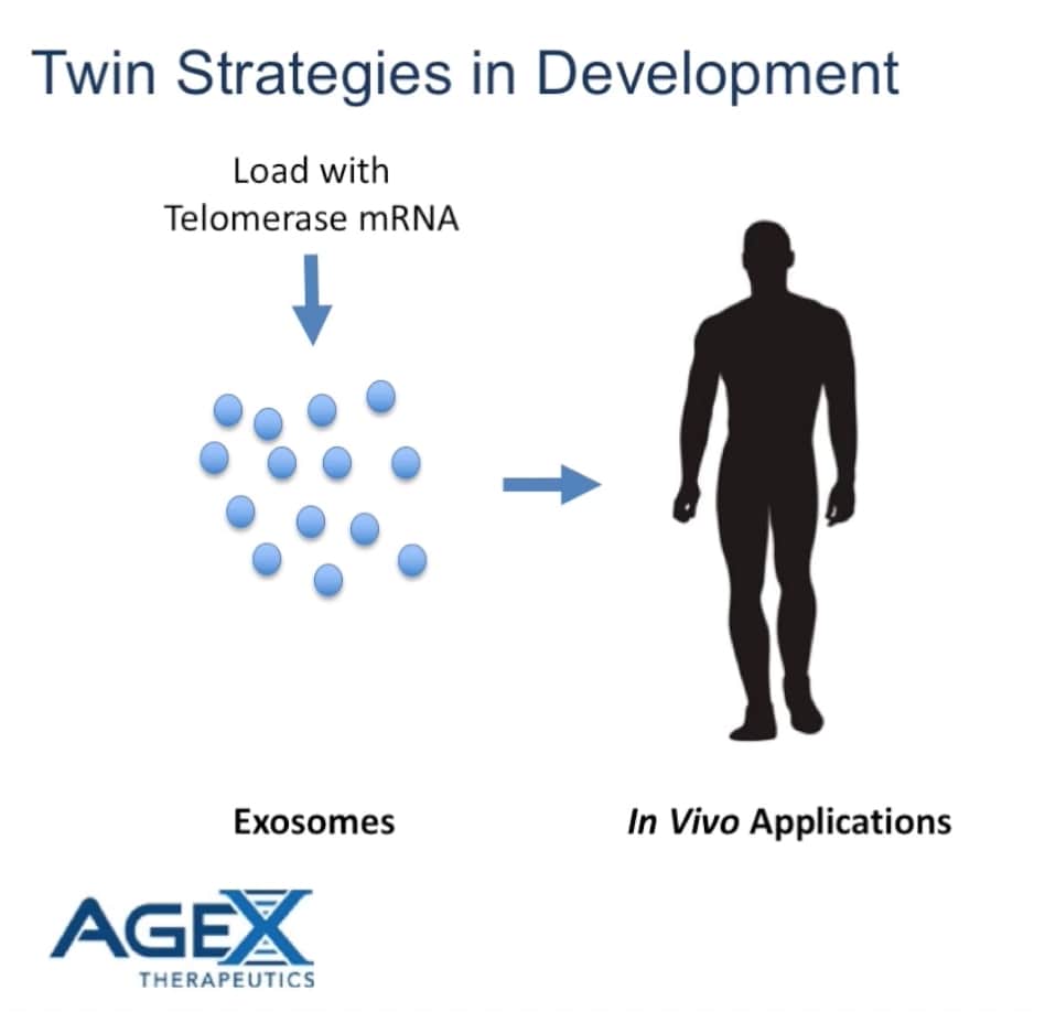 AgeX Developing Antiaging by Working to Restore Full Regeneration ...