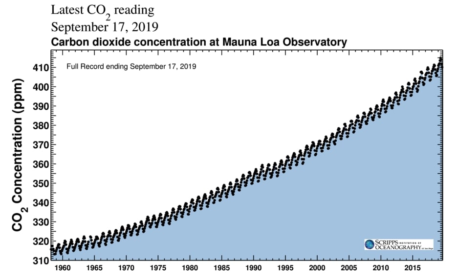 Boosting Plants to Close the CO2 Absorption Gap | NextBigFuture.com