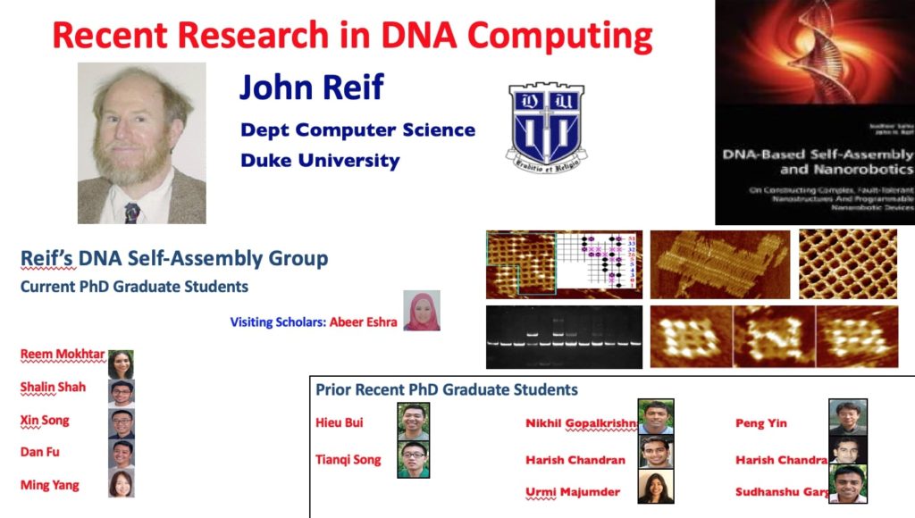 Fast And Compact Dna Logic Circuits