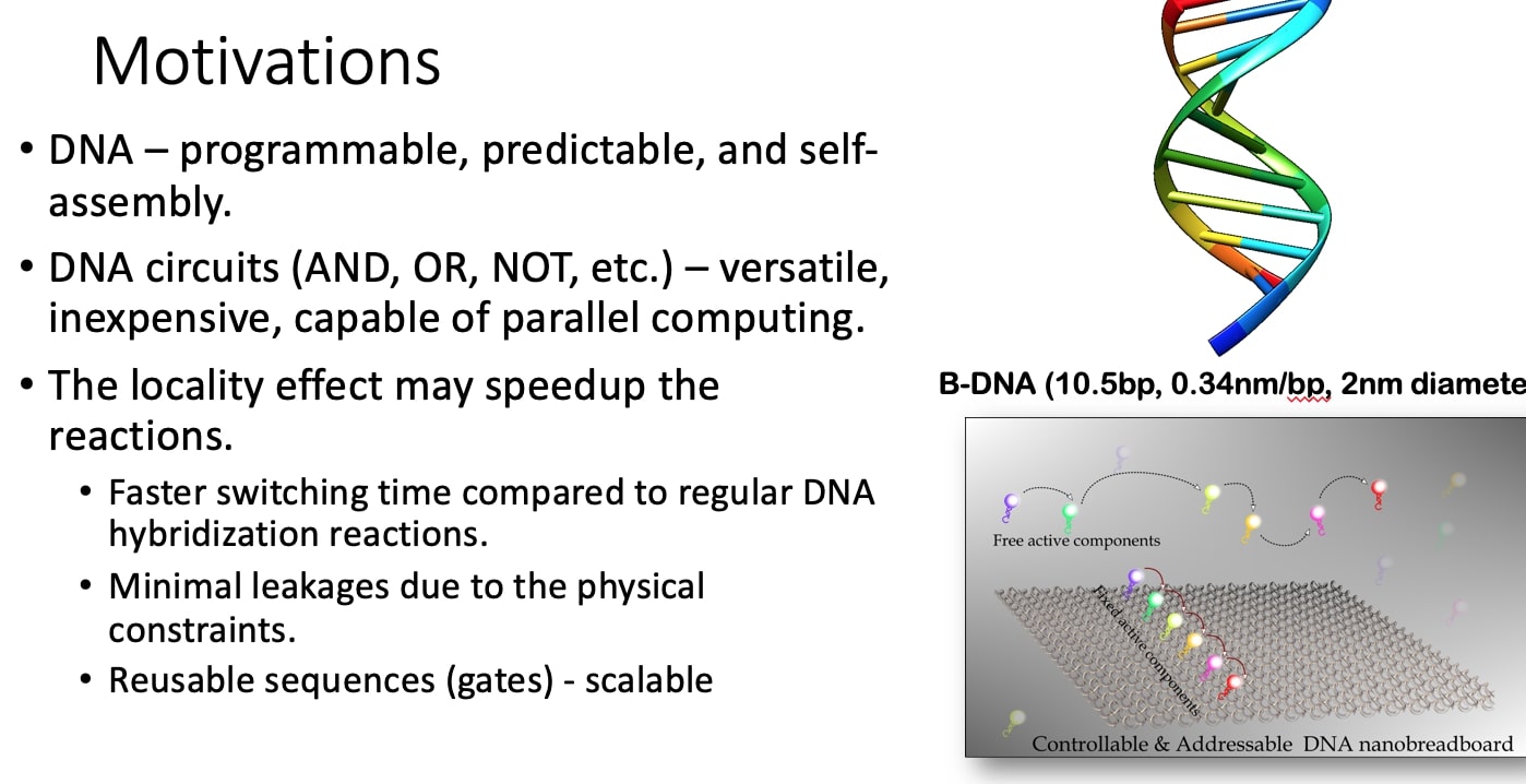 Fast and Compact DNA Logic Circuits | NextBigFuture.com