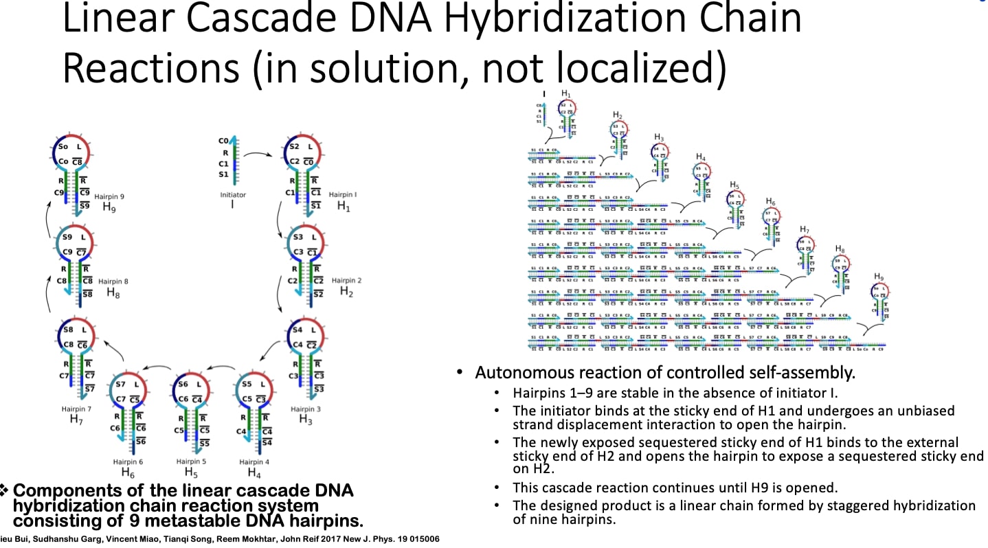 Fast and Compact DNA Logic Circuits | NextBigFuture.com