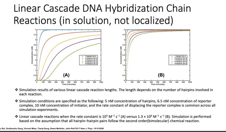 Fast and Compact DNA Logic Circuits | NextBigFuture.com