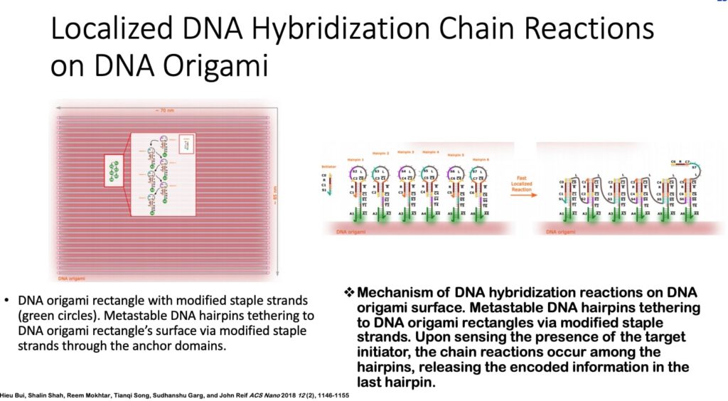 Fast and Compact DNA Logic Circuits | NextBigFuture.com