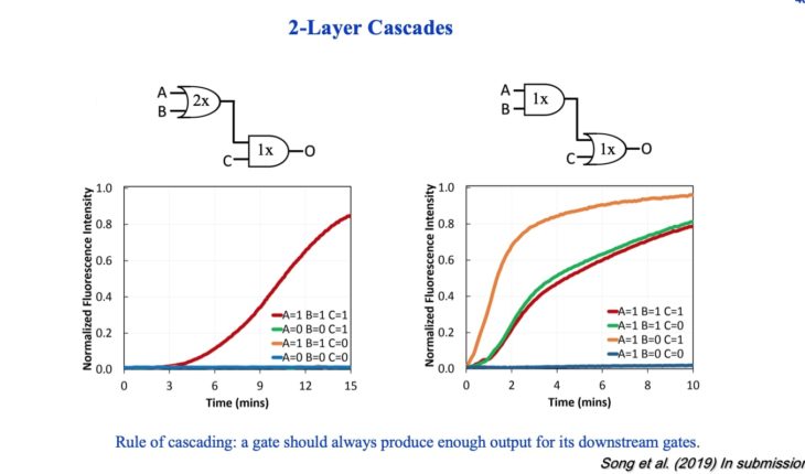 Fast and Compact DNA Logic Circuits | NextBigFuture.com