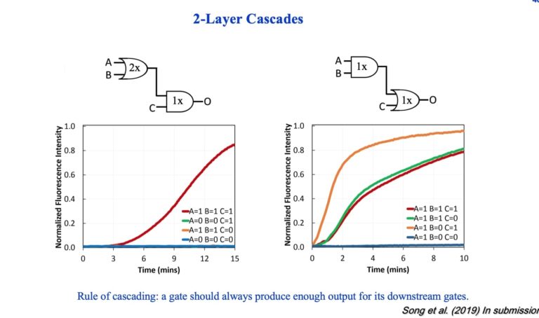 Fast and Compact DNA Logic Circuits | NextBigFuture.com