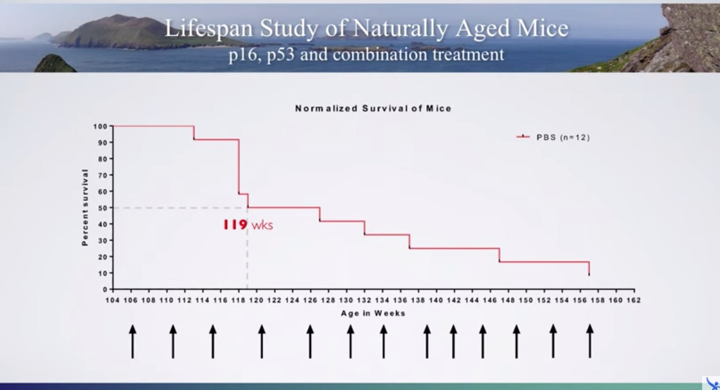 Oisin and OncoSenX Antiaging Extends Life 20% Life Extension in Old ...