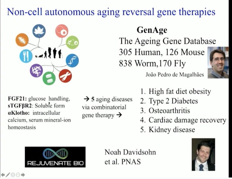 Combination Gene Therapy Progressing Against Aging | NextBigFuture.com