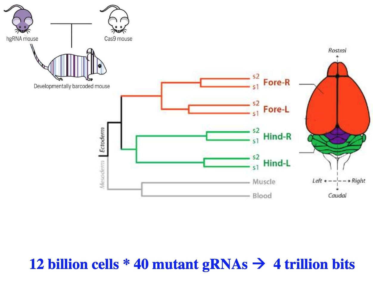 Reading and Writing Genomes | NextBigFuture.com