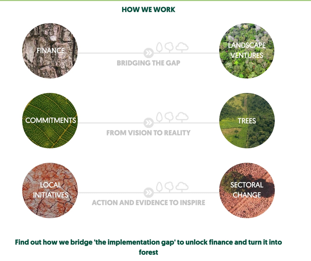 US Government Joins the Trillion Tree Initiative | NextBigFuture.com