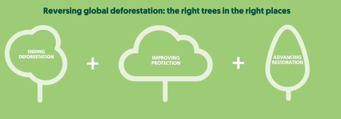 US Government Joins the Trillion Tree Initiative | NextBigFuture.com