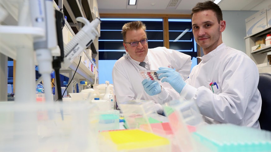 New T-cell Has Potential for Universal’ Cancer Therapy | NextBigFuture.com